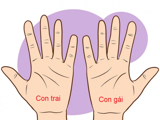 Hướng dẫn xem chỉ tay đoán tương lai, vận mệnh chuẩn xác 100%